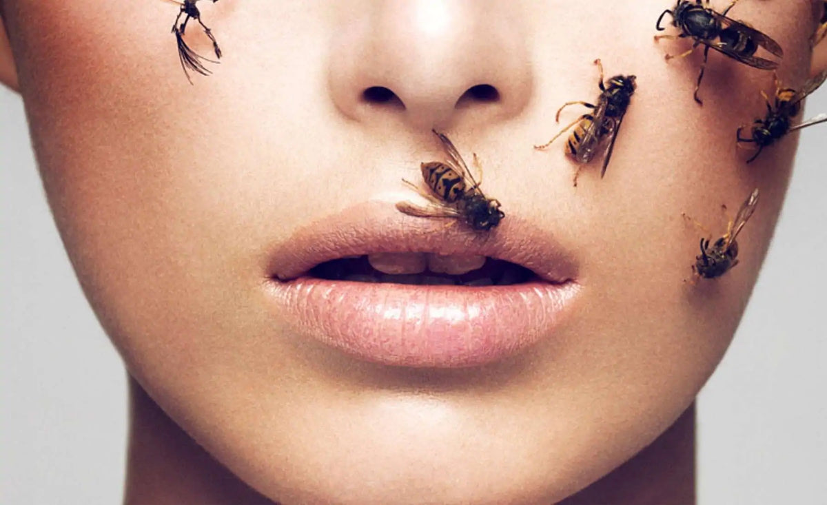 Benefits and Uses of Bee Venom for Skin – Wild Ferns India